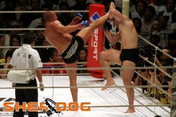 Relembre a luta fantástica entre Fedor Emelianenko e Mirko Cro Cop ...