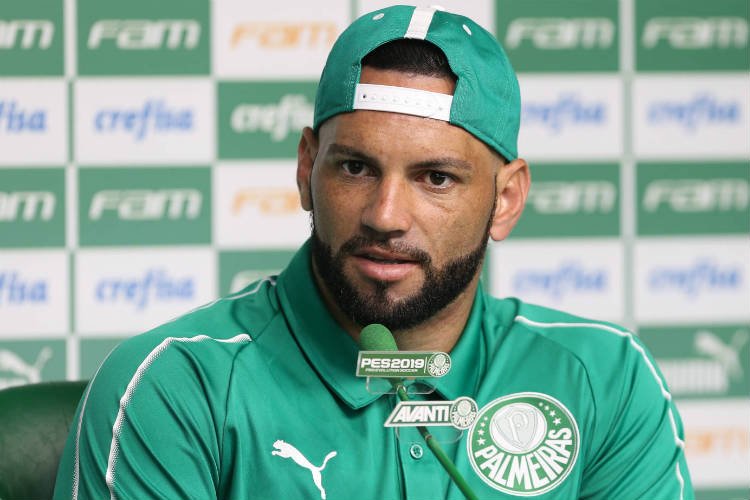 Weverton promete Palmeiras mais forte depois de pausa de 15 dias no ...
